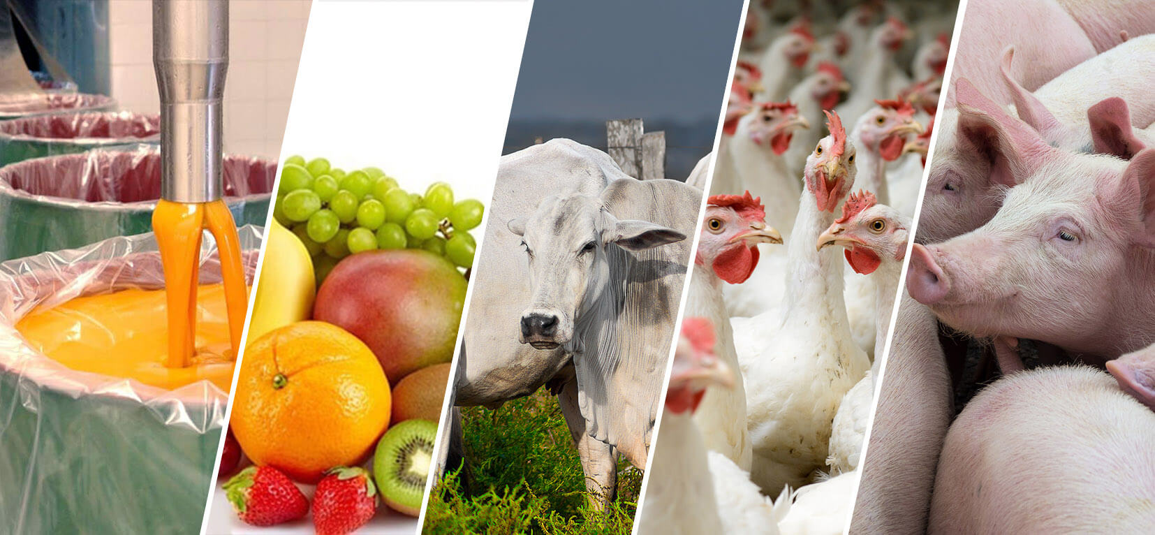 Comprehensive Guide to Handling Temperature Controlled Loads in Reefer ...